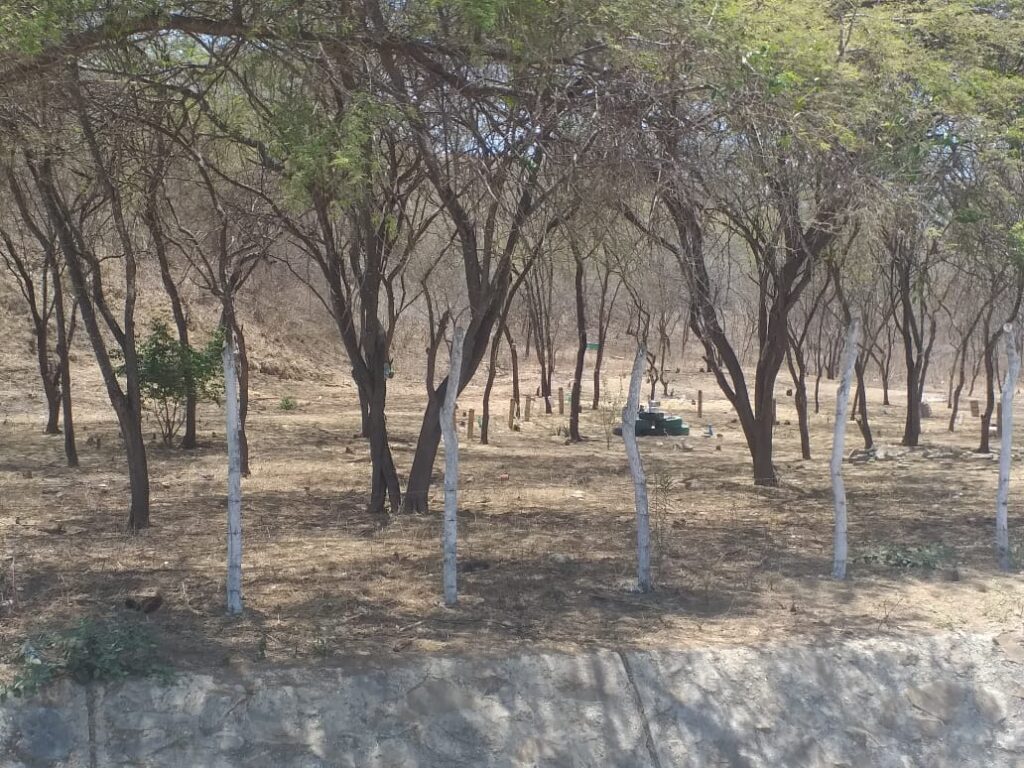“Parque ecológico" luce descuidado y abandonado