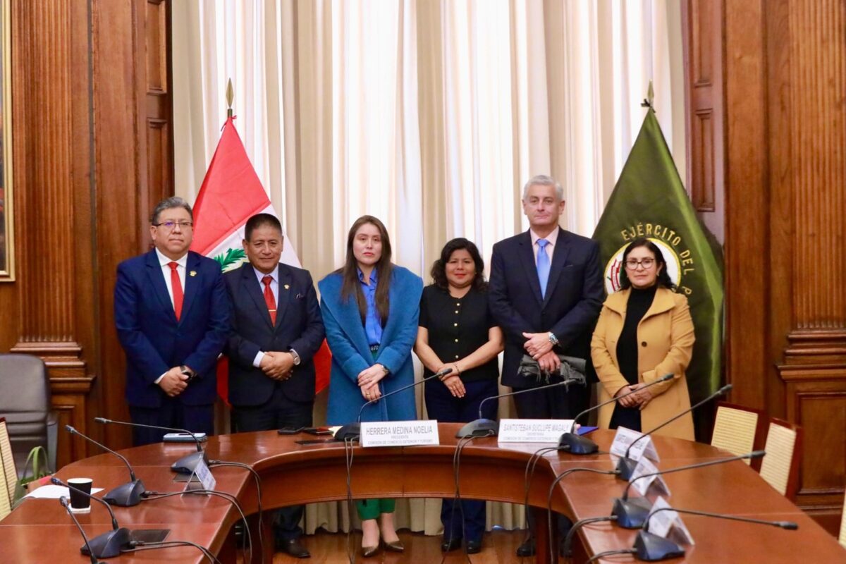 CONGRESISTA MAGALLY SANTISTEBAN SUCLUPE ASUME CARGO EN LA COMISIÓN DE ...