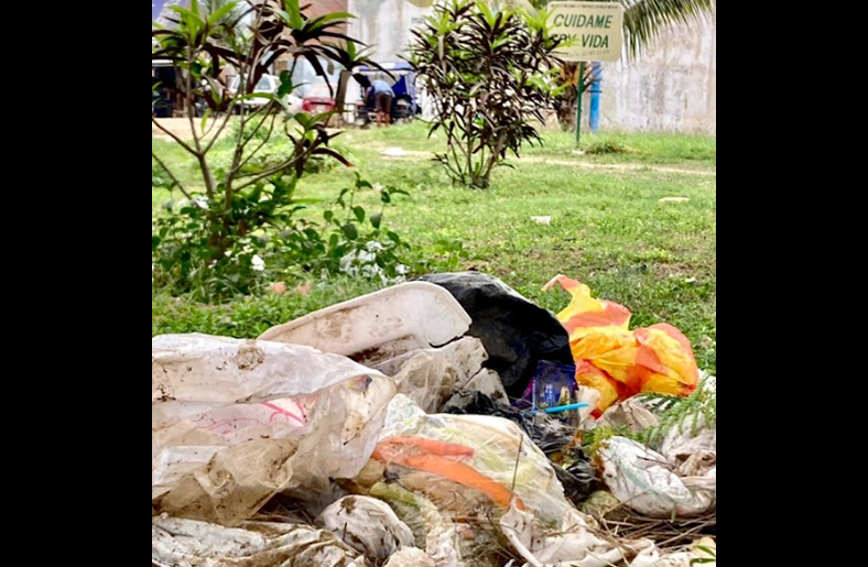 Áreas verdes de la urbanización José Lishner Tudela llenas de basura ...