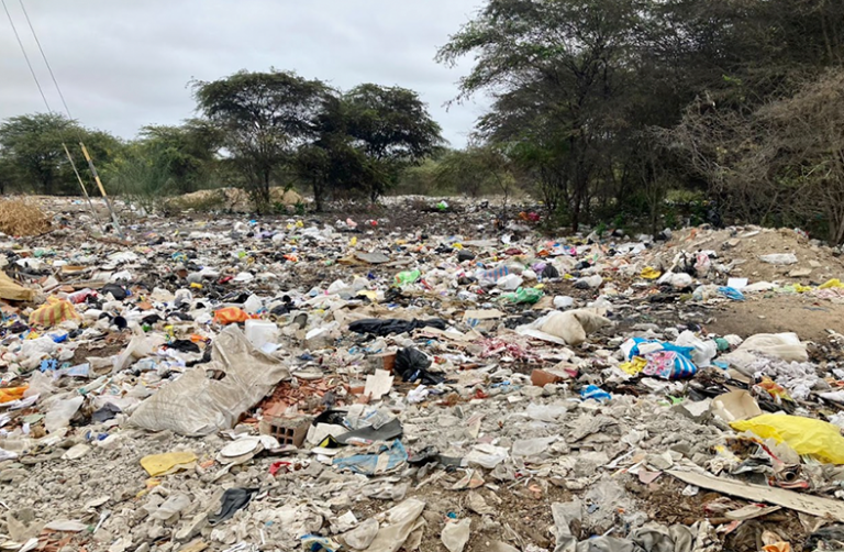 Botaderos de basura, un problema latente para la salud pública – Hechicera